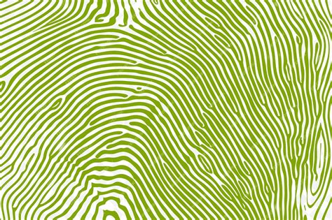 Premium Psd Fingerprint Texture With Regular Swirled And Dense Pattern C Png Creative Overlay