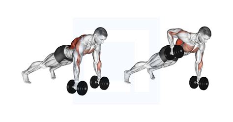 Reverse Plank Guide Benefits And Form