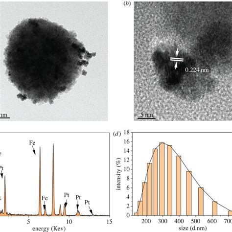 Magnetic Hysteresis Curves Of Fe3o4 Nps And Fe3o4 Pt Nps Download Scientific Diagram