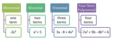 Class 6 Algebra Types Of Algebraic Expression