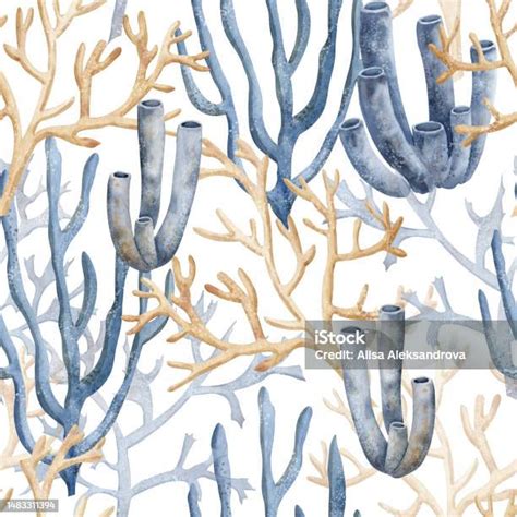 산호초는 고립된 배경에 매끄러운 패턴입니다 손으로 그린 해초와 조류의 수채화 그림은 항해 스타일의 장식을 위해 그려져 있다 섬유