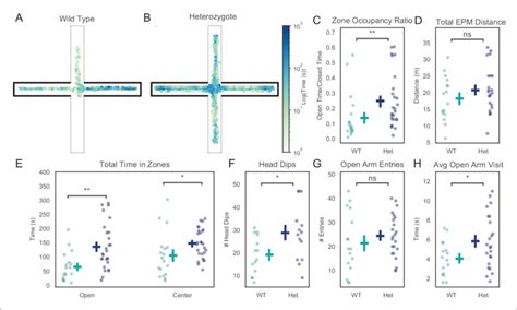 Pogz Mice Exhibit Reduced Avoidance In The Elevated Plus Maze Epm Download Scientific