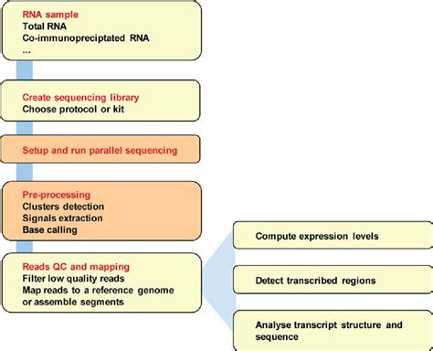 Figure 1 From Cellular And Molecular Life Sciences Review Rna Seq From Technology To Biology