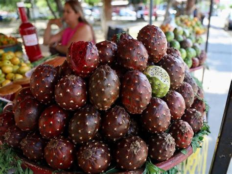 La Pitaya El Fruto Que Da Identidad Tradición Y Sabor A Jalisco