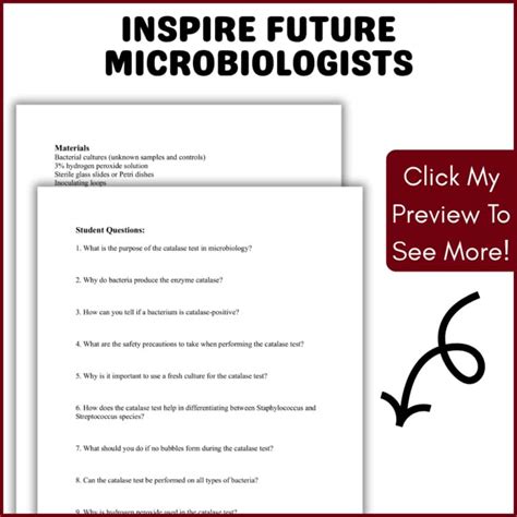 Catalase Test Lab High School Microbiology Enzyme Activity Experiment