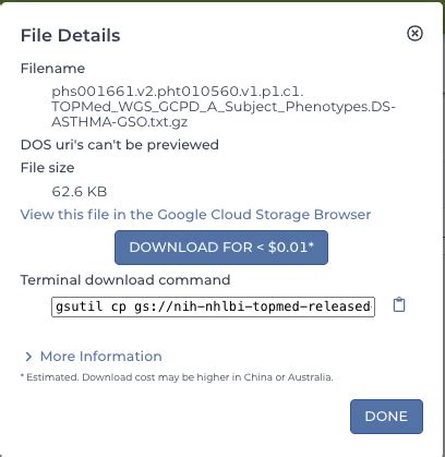 Error Permission Storage Buckets List Denied On Resource When Using