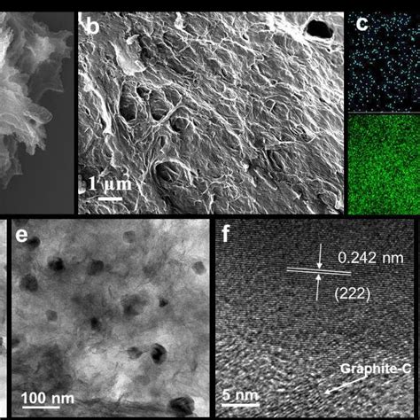 A B Scanning Electron Microscopy Sem C Energy Dispersive X Ray Download Scientific