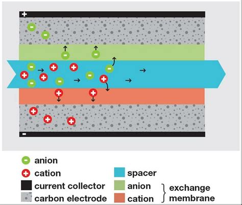 how to add labels at the end of each line in ggplot2