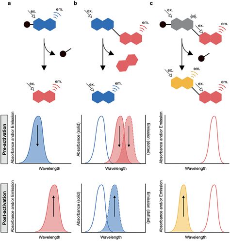 Recent Advances In Ratiometric Fluorescence Ima