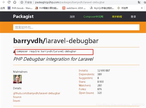 Laravel Debugbar调试工具的安装packagist Debugbar Csdn博客