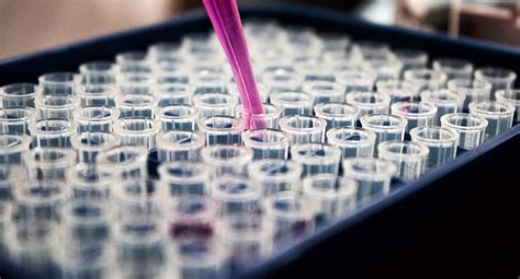 Occurrence And Formation Of Nitrogenous Disinfection By Products The Water Research Foundation