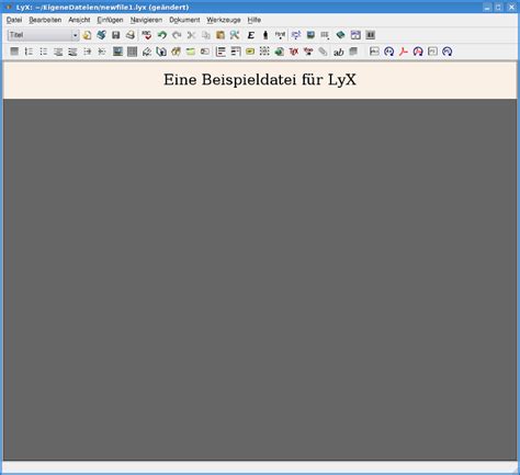 Lyx Lyx Eine Visuelle Tour