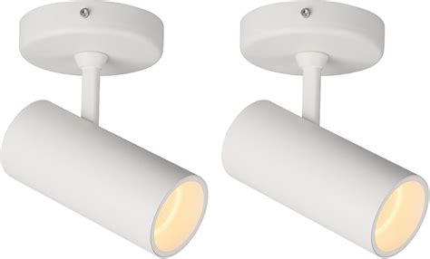Aisilan 2 Pack Led White Modern Directional Dimmable Spotlight