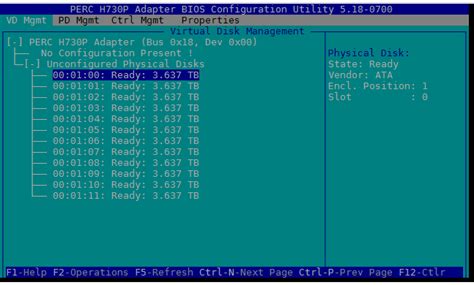 Creating A Virtual Disk And Raid Array