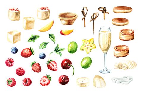 축제 음식 과일과 딸기 요소 세트 달콤한 카나페 흰색 배경에 격리 된 수채화 손으로 그린 그림 샴페인 와인에 대한 스톡 벡터
