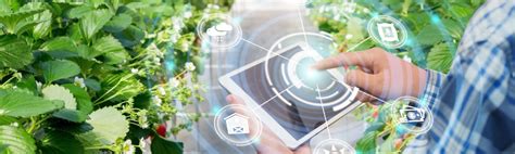 Advancements In Sustainable Food Packaging Technology