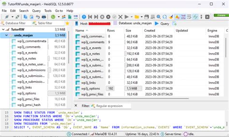 Cara Remote Database Mysql Di Cyberpanel Rumahweb