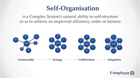 Dr Warren Black On Linkedin Riskmanagement Risk Complexity