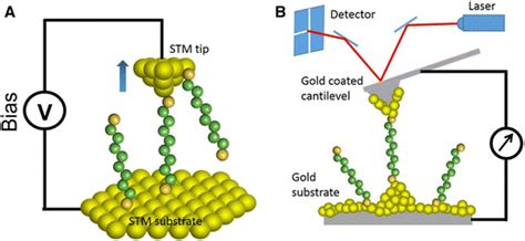 Modulation And Control Of Charge Transport Through Single Molecule Junctions Springerlink