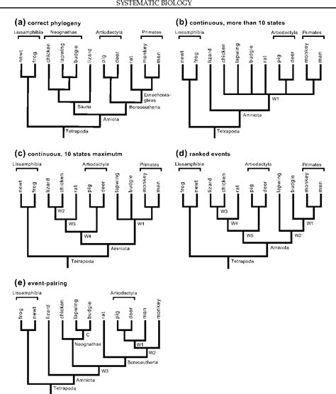 figure 1 from developmental characters in phylogenetic inference and