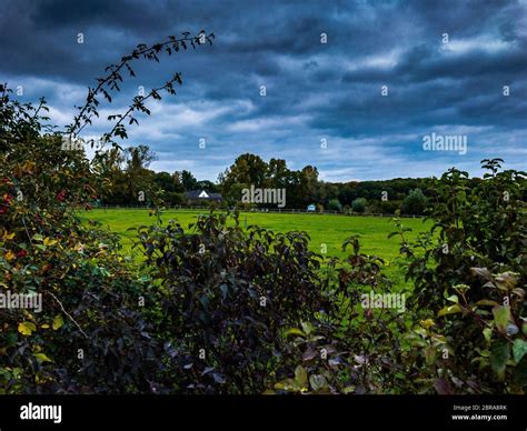 Beautiful German Farm In Nature With Cloudy Dark Heaven Nice Plants In