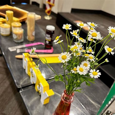 Interactive Bee Class The Fox And The Hound Bee Interactive