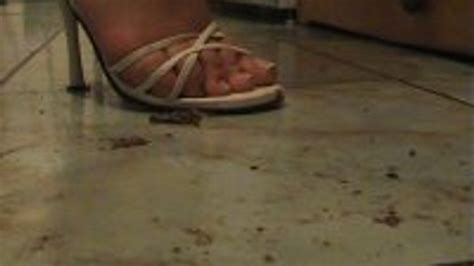 Crushing Snail Shells Selenas S Clips4sale