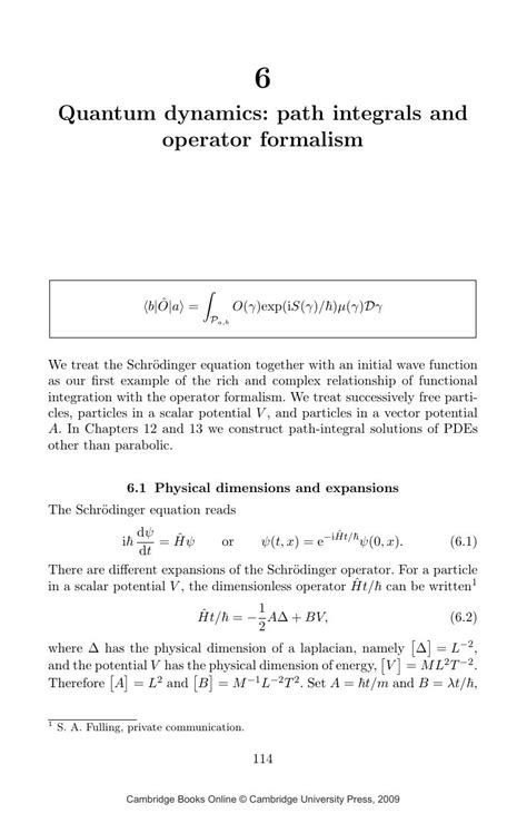 quantum dynamics path integrals and the operator formalism chapter 6