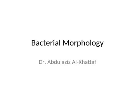 391991409 1 Bacterial Morphology Ppt Ppt