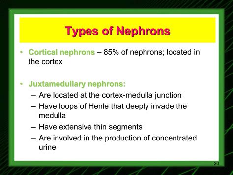 1-Renal Physiology 1 (Renal Functions & Basic Concepts).ppt