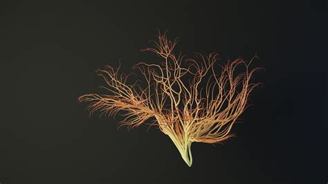 인간의 두뇌는 선으로 만들어졌습니다 뇌 의료 개념 3d 렌더링 건강관리와 의술에 대한 스톡 사진 및 기타 이미지 건강관리와 의술 과학 다중 색상 Istock