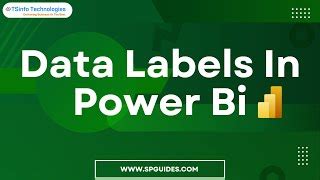 How To Use Data Labels In Power Bi Data Labels In Power Bi Power Bi Data Labels Tsinfo