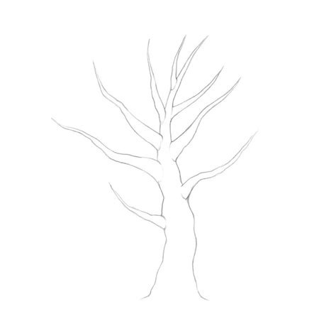 How To Draw A Tree