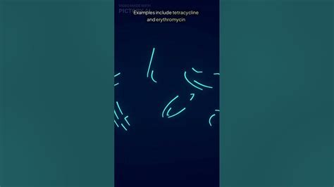 Bacteriostatic Vs Bacteriocidal Antiiotic Youtube