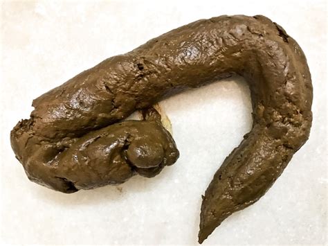 Another Big Thick Dark Turd Image 70663 Thisvid Tube