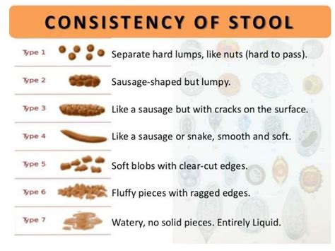 Stool Analysis