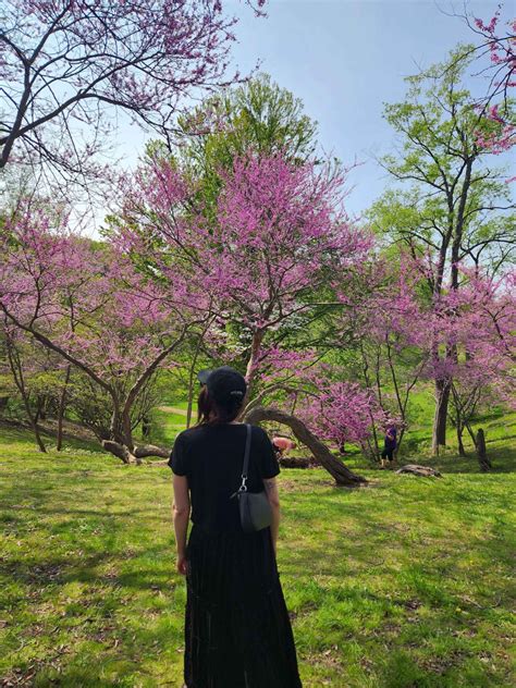 Yourtreasury Python Automation Coding Treasury Ai Fintech Your