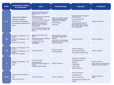 Acl Healing And The Cross Bracing Protocol Myoko Physio