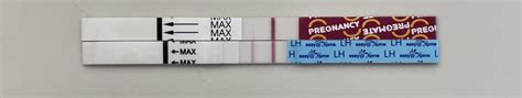 Pregmate 12 Dpo Faulty Test Top Rtfablineporn
