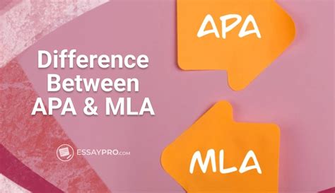 The Difference Between APA MLA EssayPro