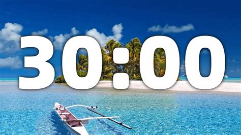 30 Minute Timer With Ticking Sound Andalarm Clock Sound