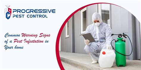 Common Warning Signs Of A Pest Infestation In Your Home