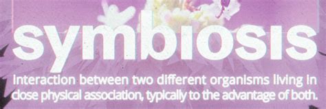 Multiple Drop Shadows Not Showing When Pixelating Adobe Community 11595429