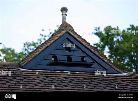 Unusual Bird Nest Box Built Into Apex Of Roof Stock Photo Alamy