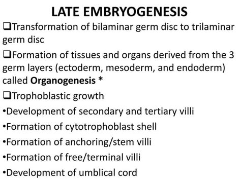 2 Late Embryogenesis Pptx
