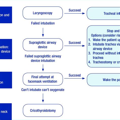 Difficult Airway Society Extubation Guidelines At Risk Algorithm Download Scientific