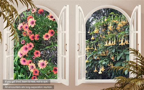 Journey Of Science Botanical Garden And Nature Reserves Zenith