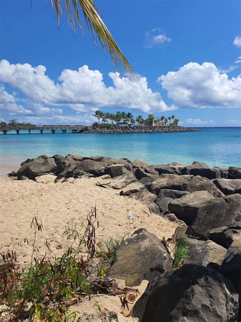 Speightstown Barbados Rbeachporn