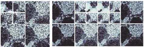 The 2 Diomensional Dwt Left And Dtcwt Right Decomposition Up To