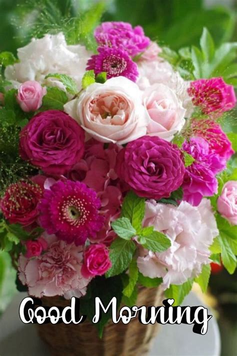 Good Morning Flowers Quotes Good Morning With Flowers Rose Beautiful Floral Border Morning